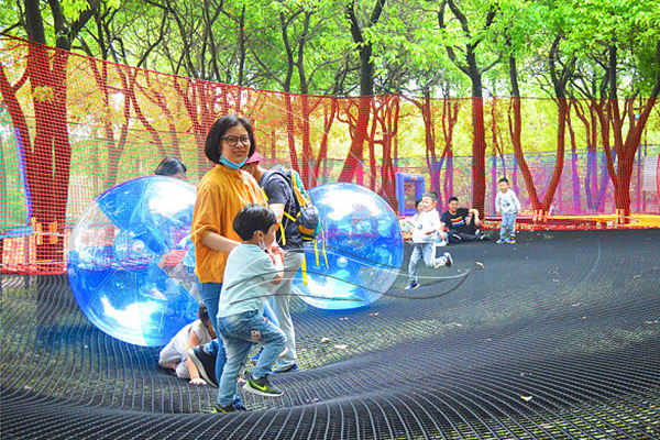 Tree Top Rainbow Trampoline Net for Sale|low investment